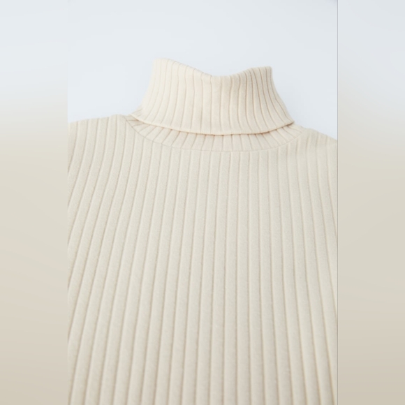 Zara | Shirts & Tops | Zara Ribbed Turtleneck | Poshmark